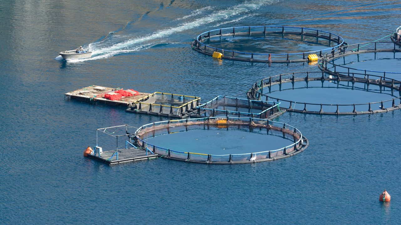 ¿Qué es un bioanalista y cómo ayuda en la salud?